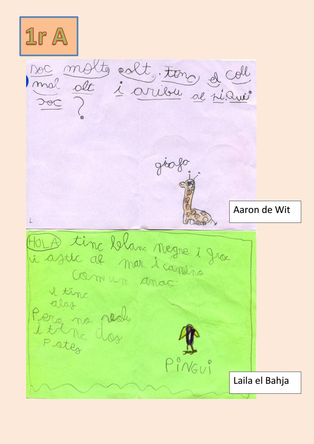 Revista Sant Jordi 2019 by Ferran Sunyer - Issuu