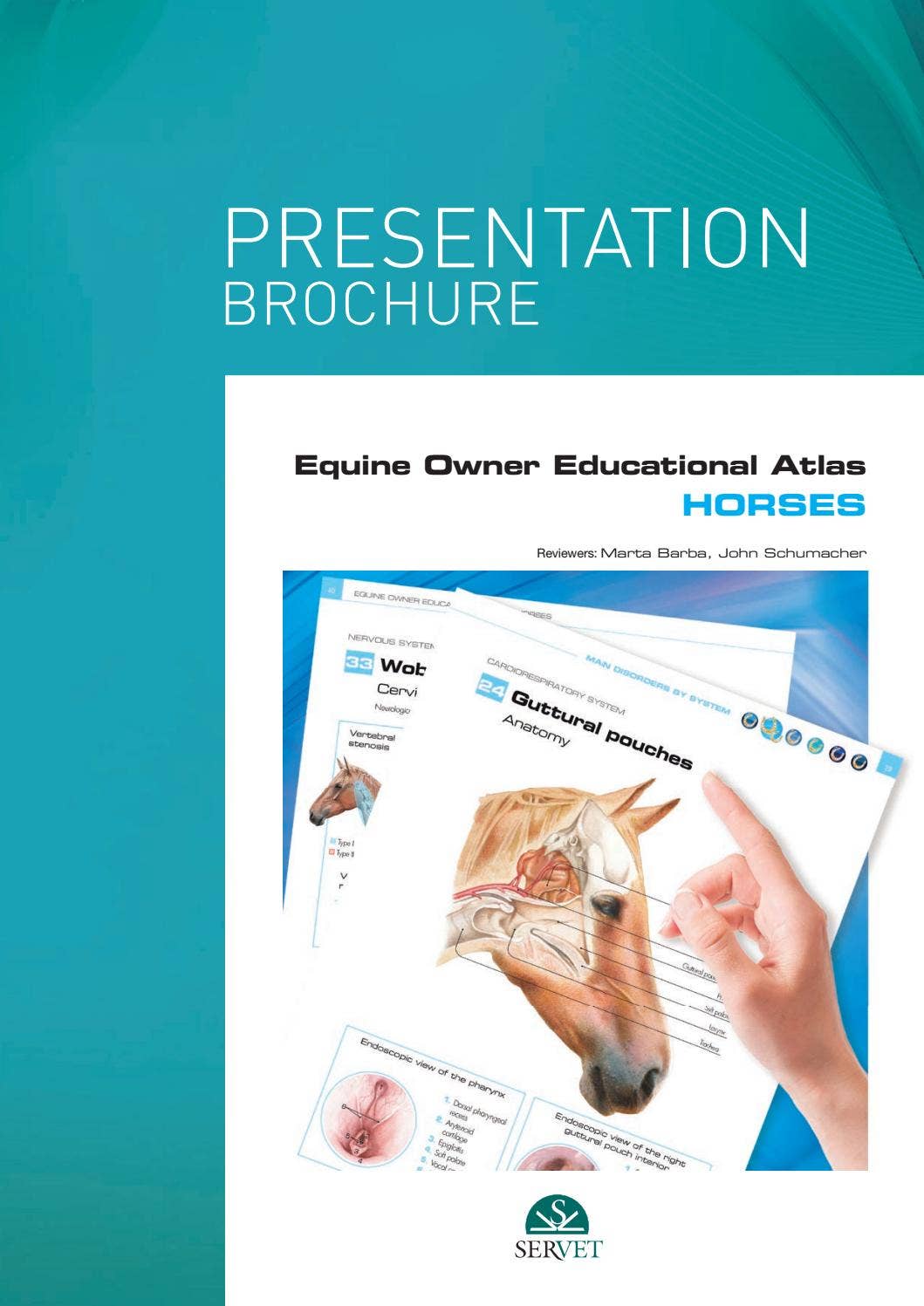Equine owner educational atlas. Horses by Grupo Asís - Issuu