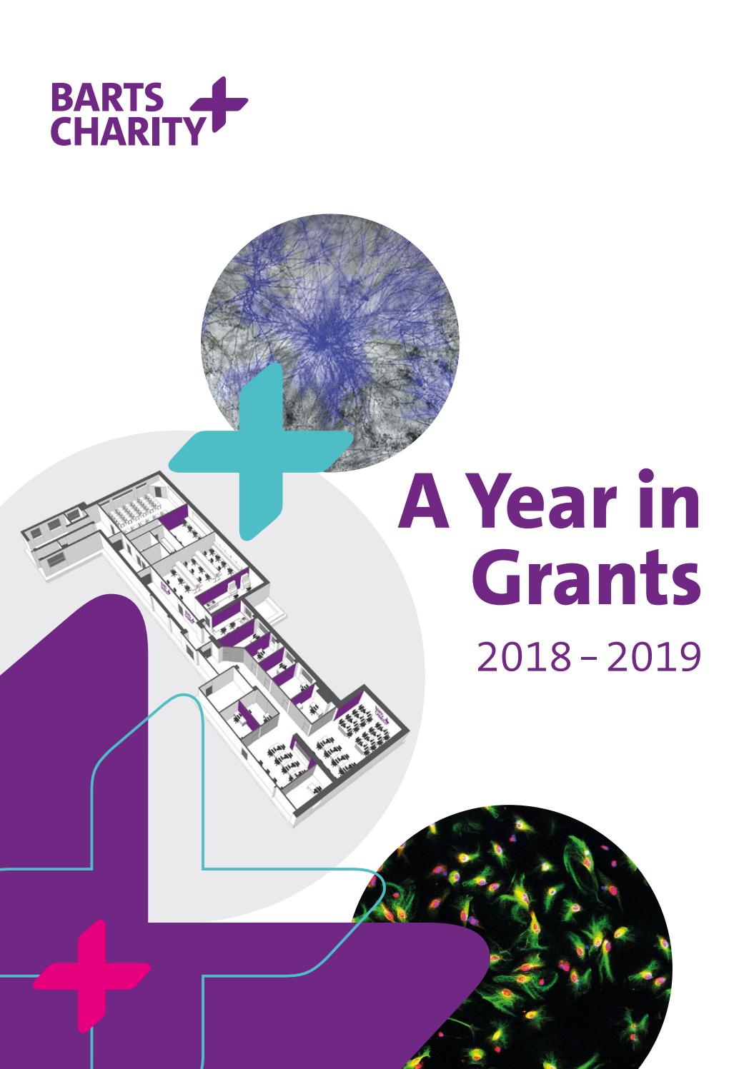 A Year in Grants - 2018/19 by Barts Charity - Issuu