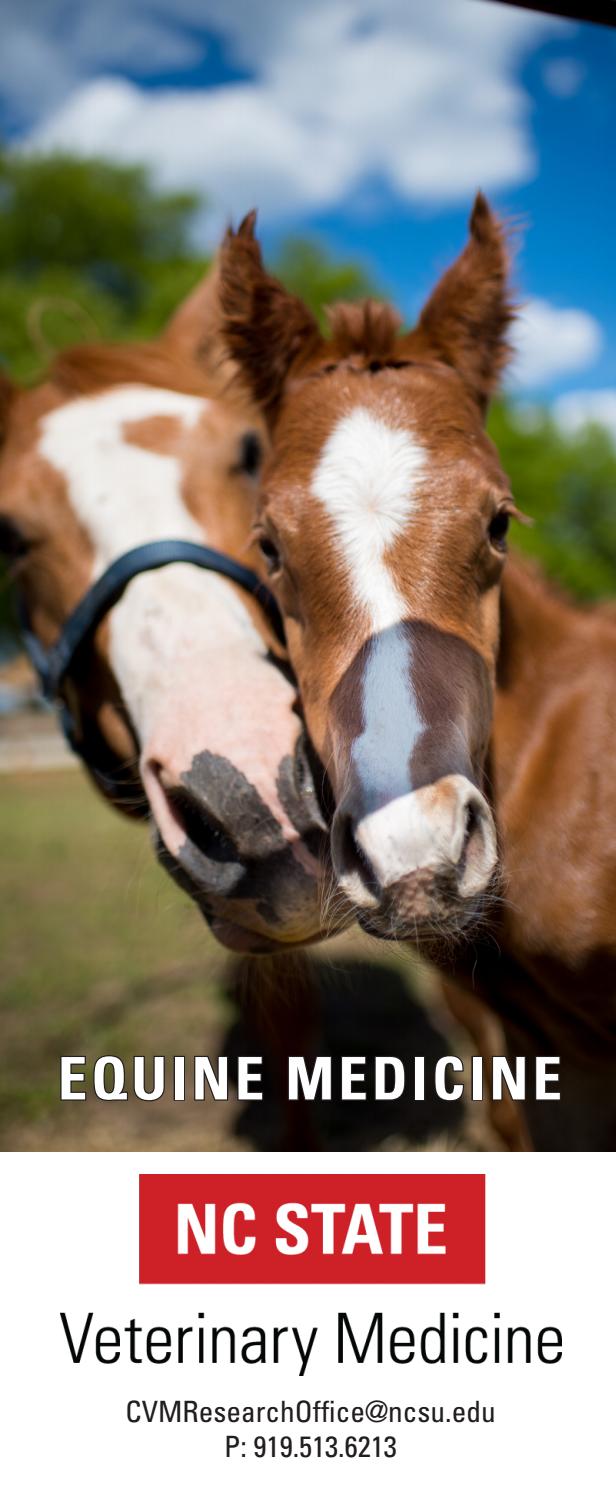 NC State Equine Medicine Research by NC State Veterinary Medicine - Issuu