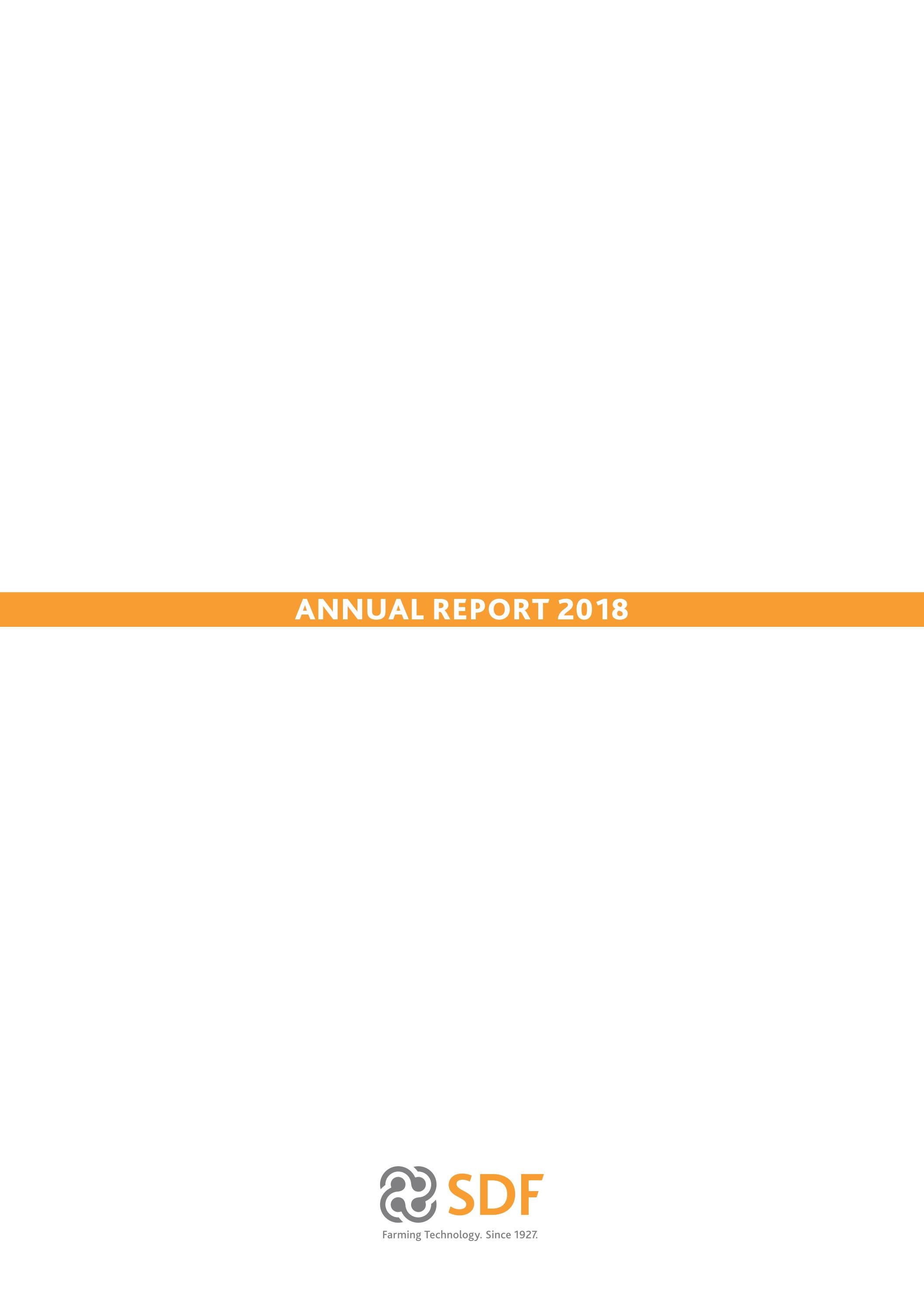 ANNUAL REPORT 2017 (English) by sdf-group - Issuu