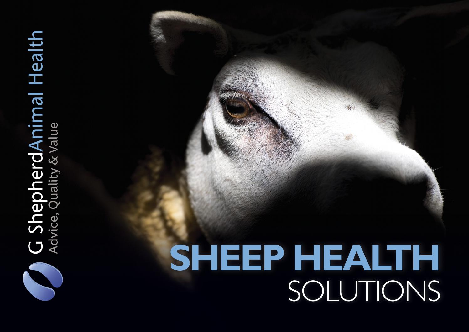 G Shepherd Animal Health - SHEEP HEALTH SOLUTIONS by G Shepherd ...