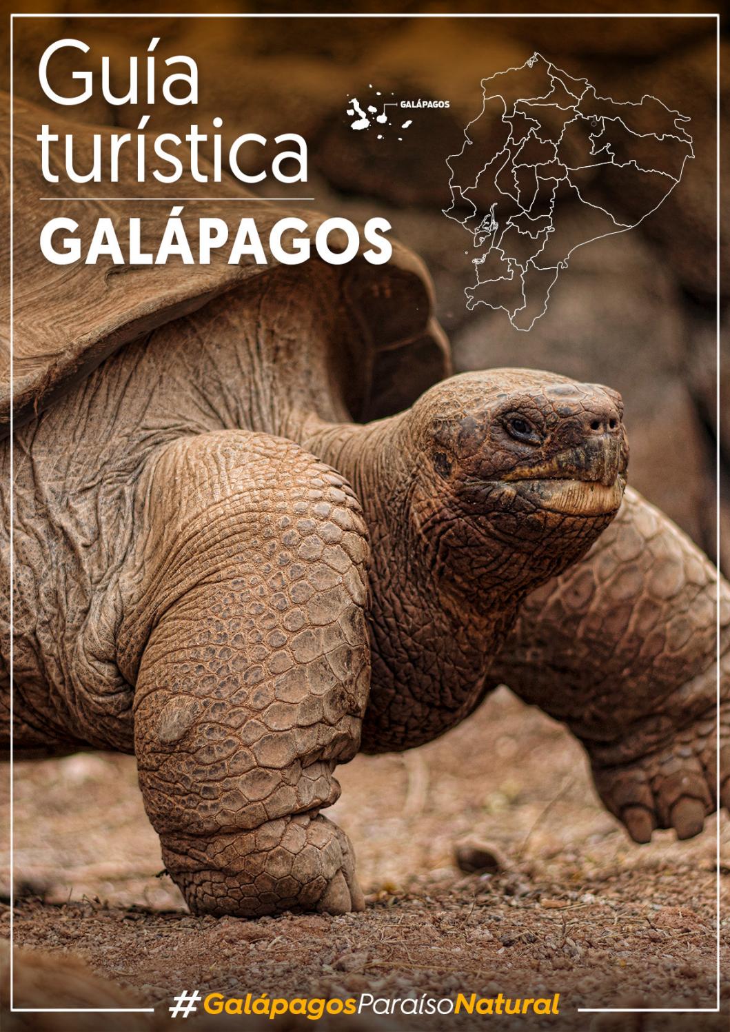 Guía Tortugas by TurismoEC - Issuu