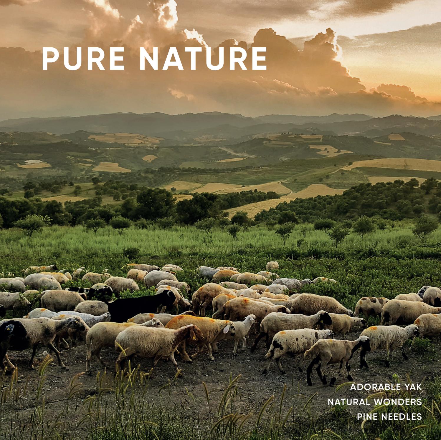 Pure-Nature by Keyart - Issuu