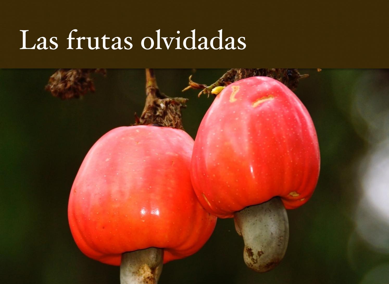 Frutas olvidadas de Puerto Rico by La Colección Puertorriqueña - Issuu
