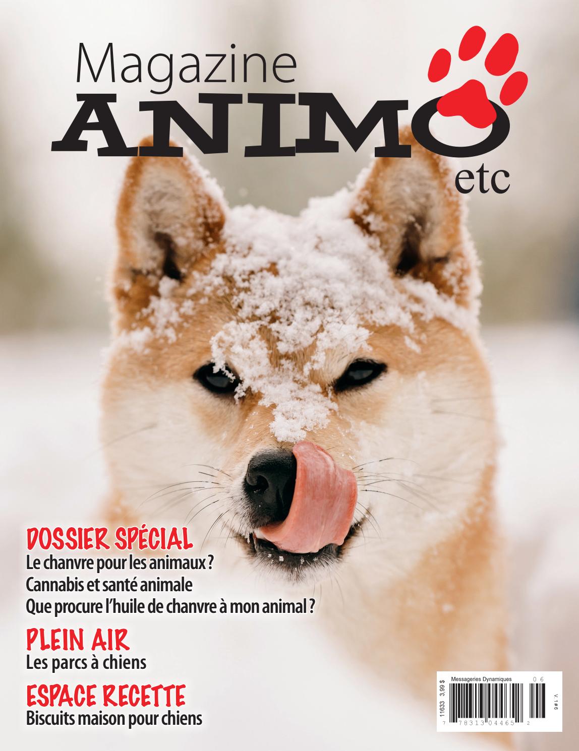 Magazine Animo V06 - Décembre 2018 by Animo etc - Issuu