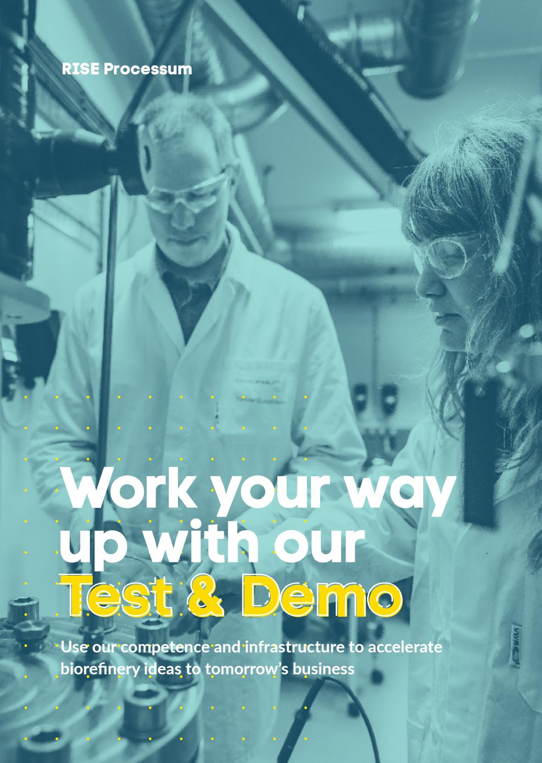 RISE Processum – Work your way up with our Test & Demo by Devocy ...