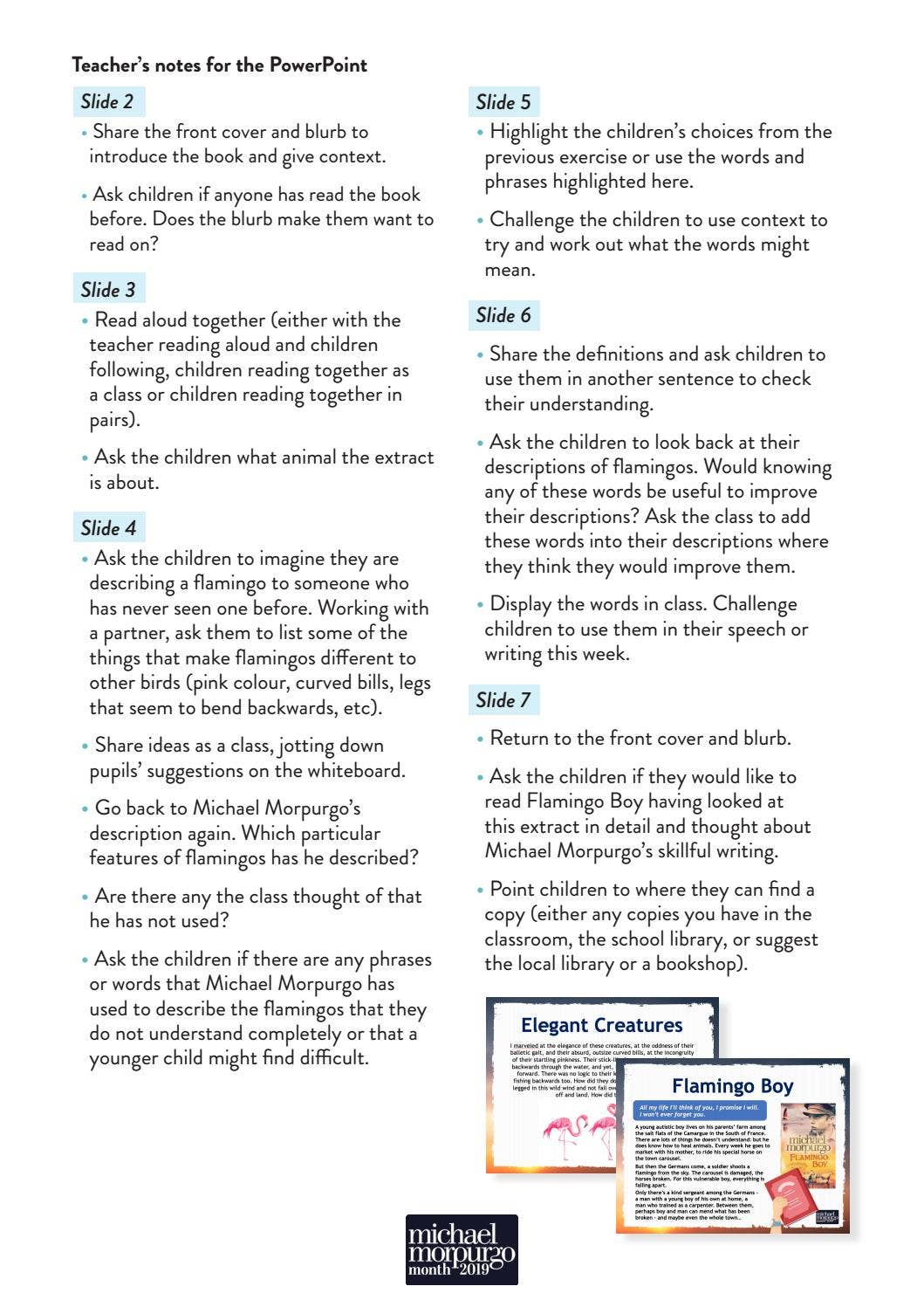 Flamingo Boy by Michael Morpurgo - Teaching Cover Sheet (KS2) by ...