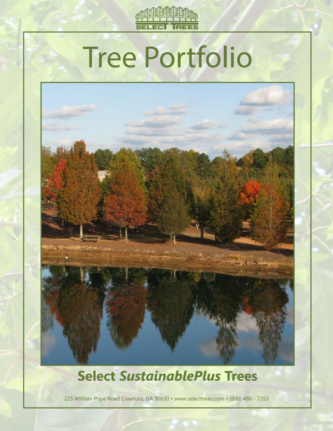 Tree Portfolio - Select Trees by Select Trees - Issuu
