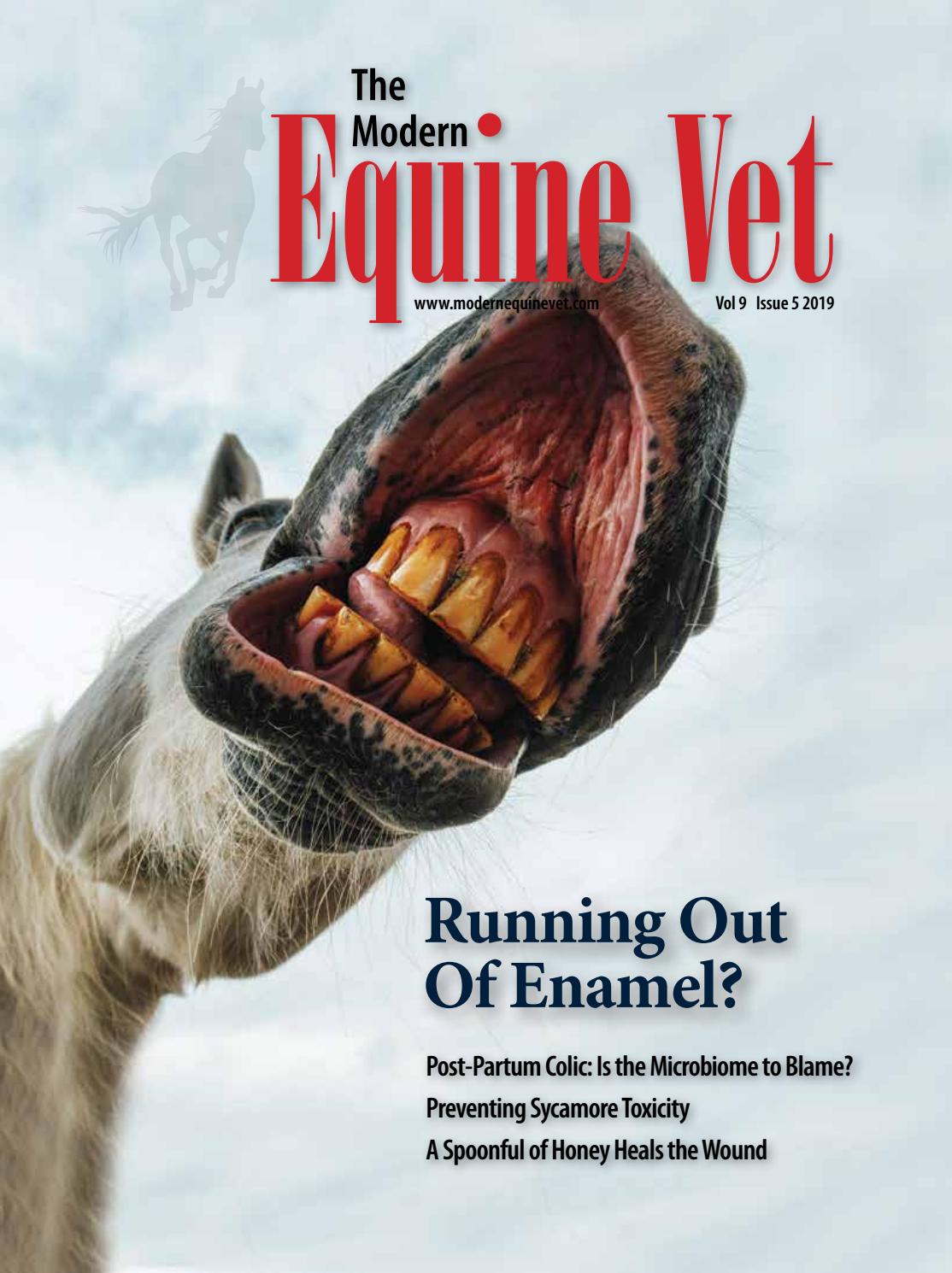 The Modern Equine Vet May 2019 by The Modern Equine Vet - Issuu