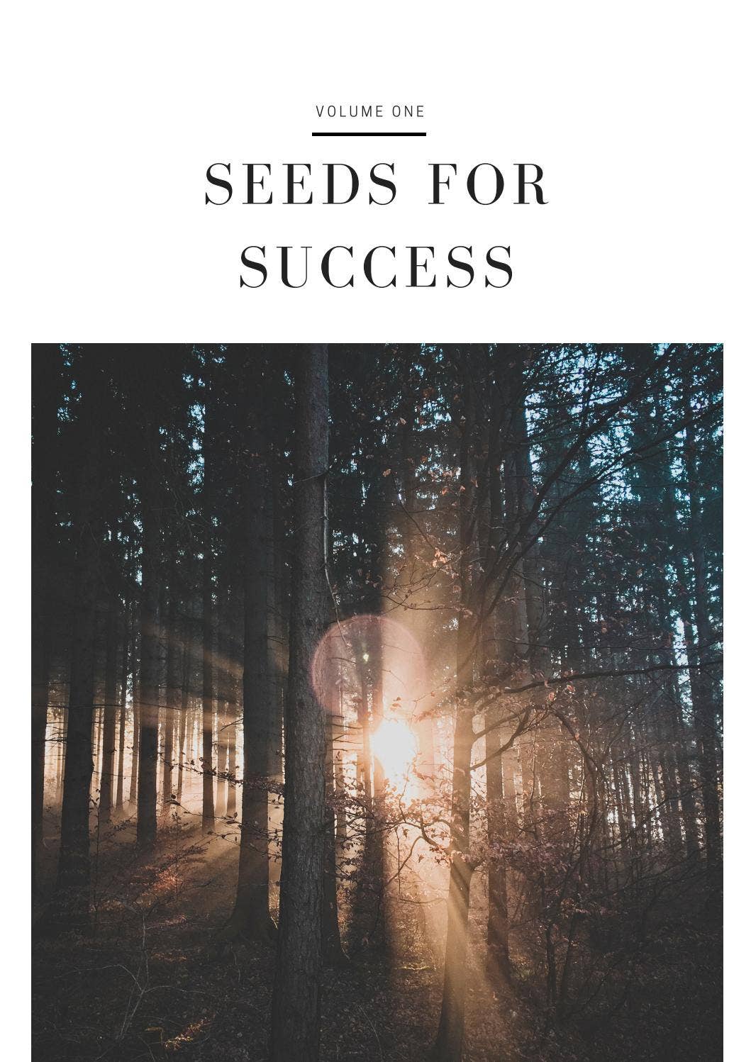 Seeds For Success by Seeds for Success - Issuu
