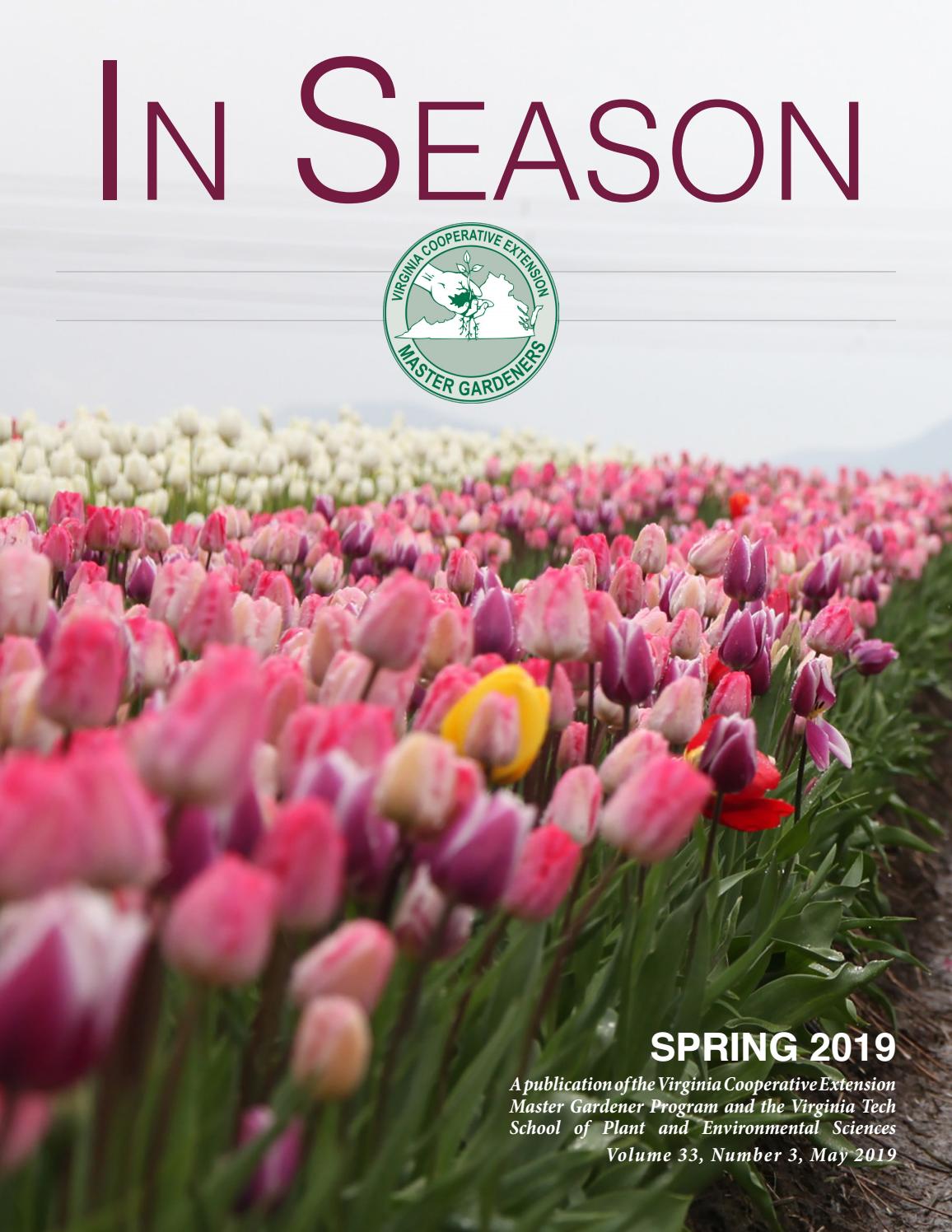 In Season Spring 2019 by VCEMasterGardener - Issuu