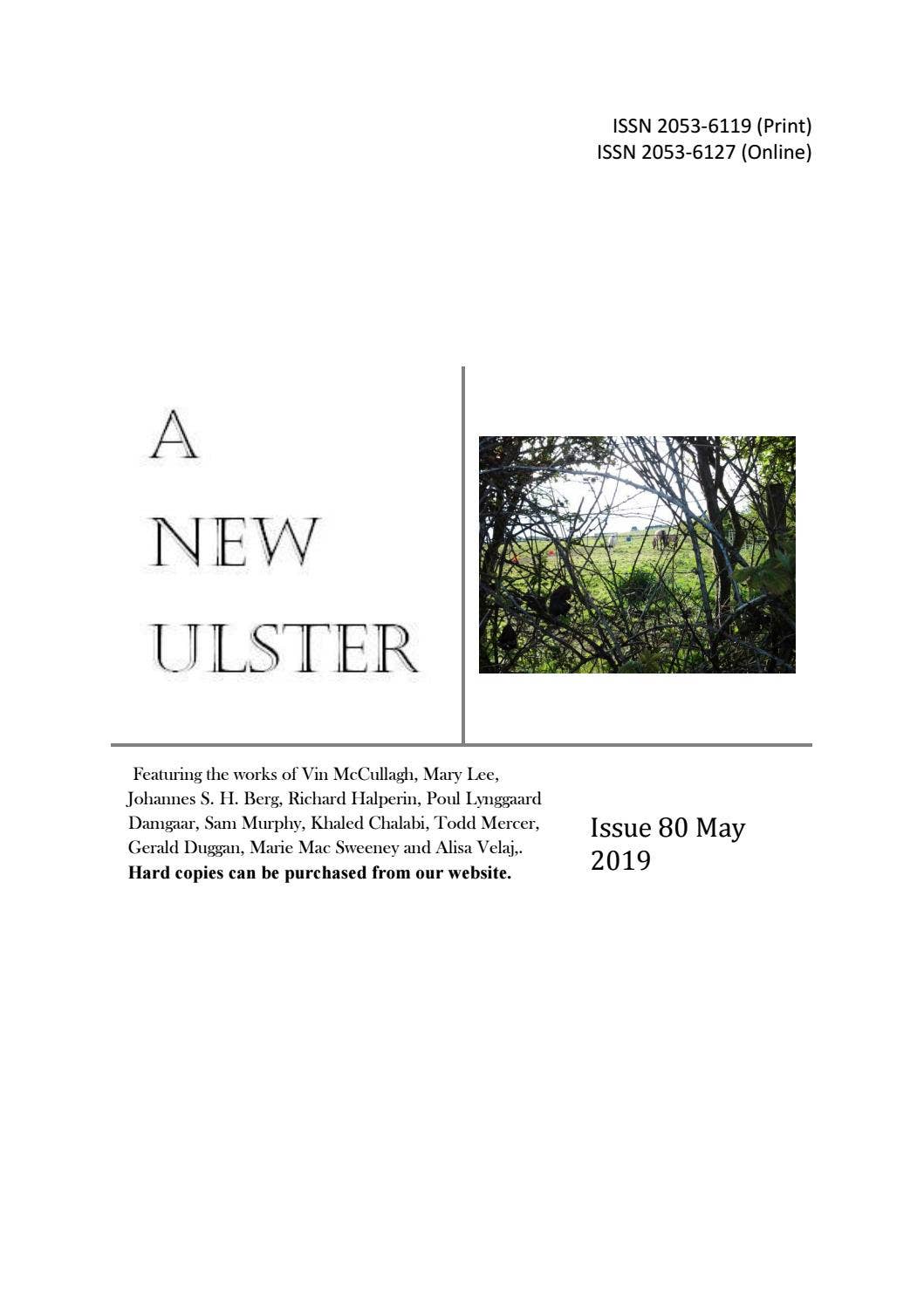 A New Ulster by Amos Greig - Issuu