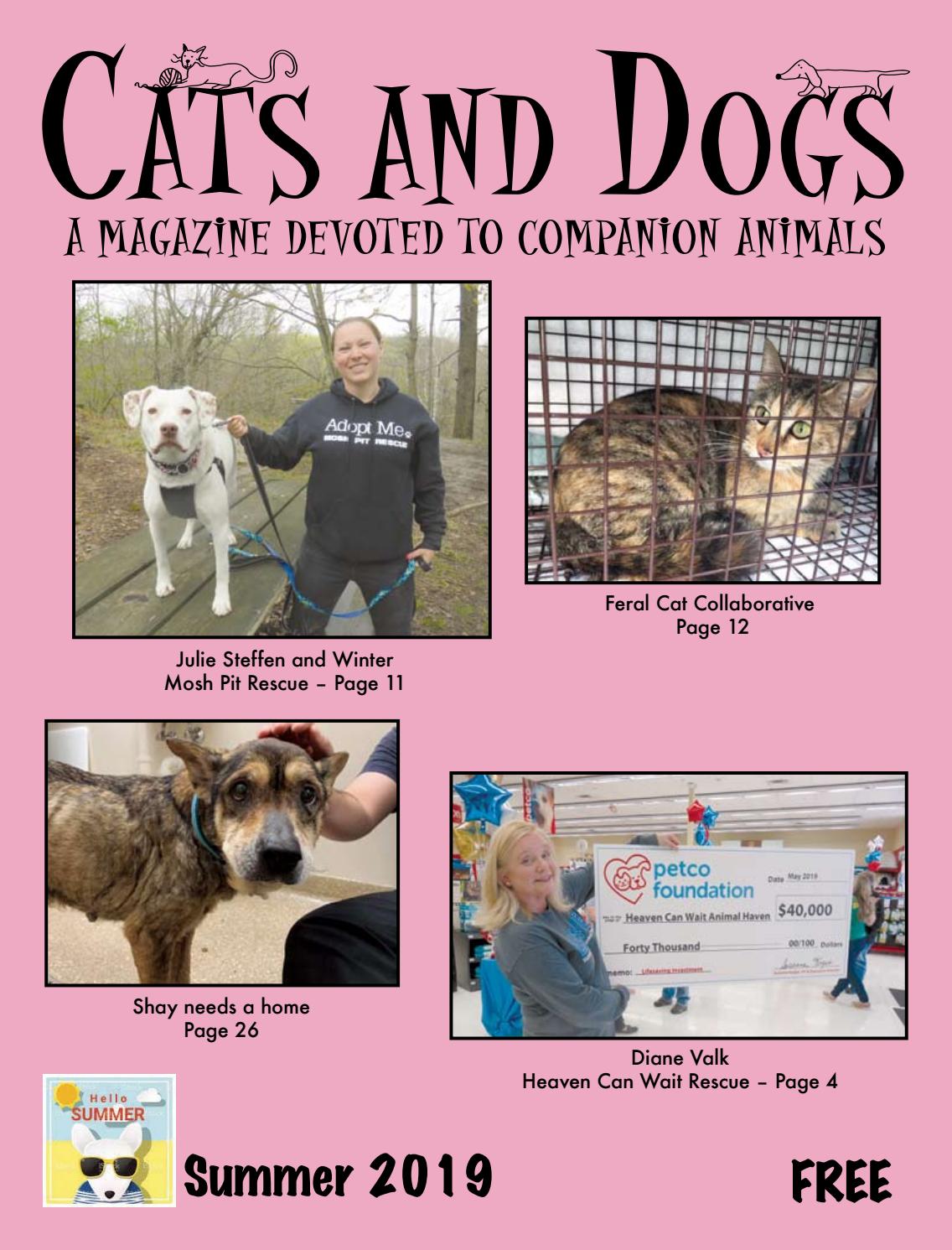 Cats and Dogs Summer 2019 by Cats and Dogs, a Magazine Devoted to ...