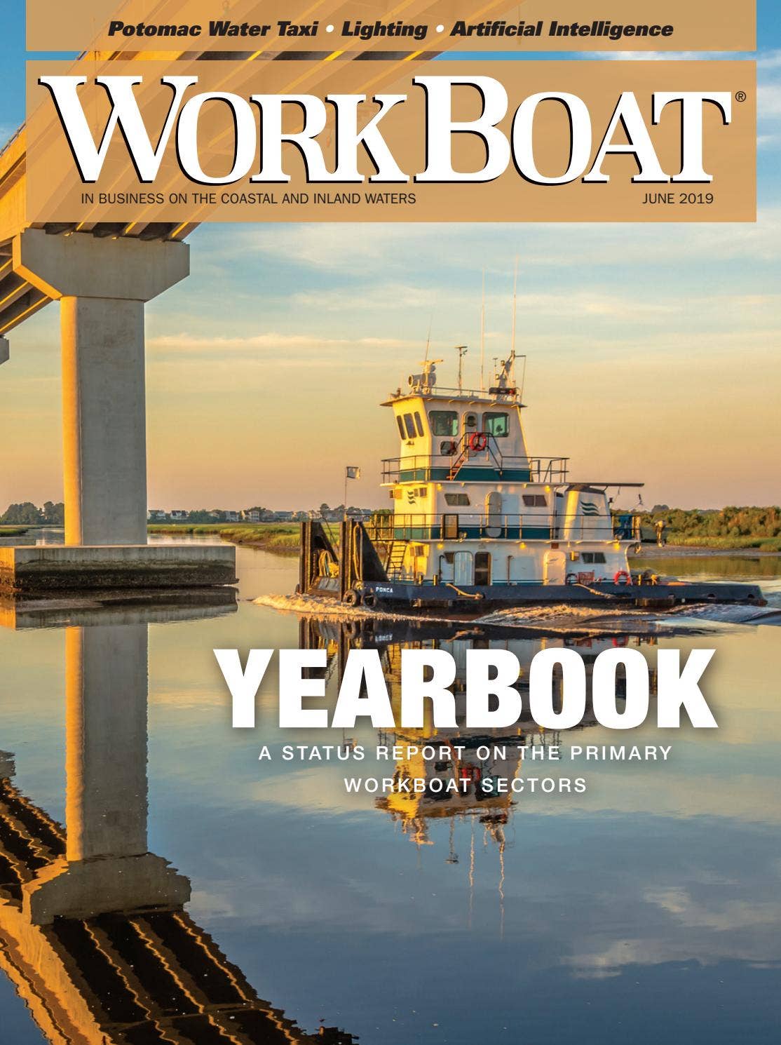 WorkBoat June 2019 by WorkBoat - Issuu