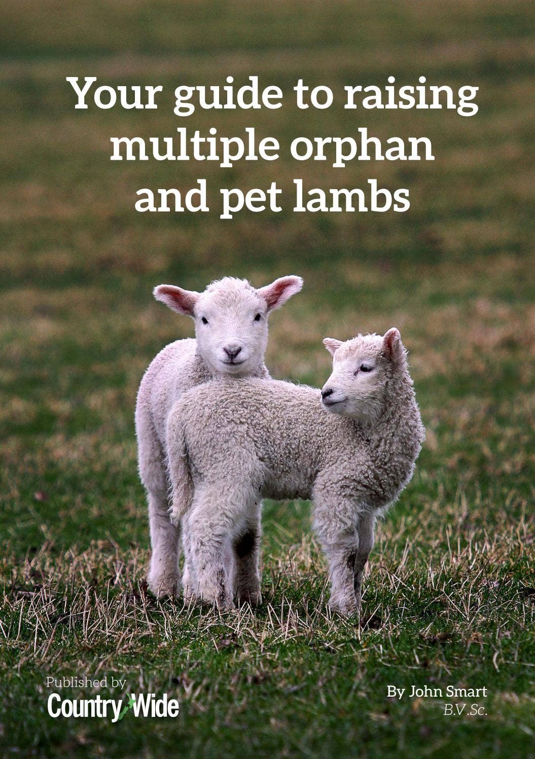 Lamb Rearing booklet 2019 by NZ Farmlife Media - Issuu