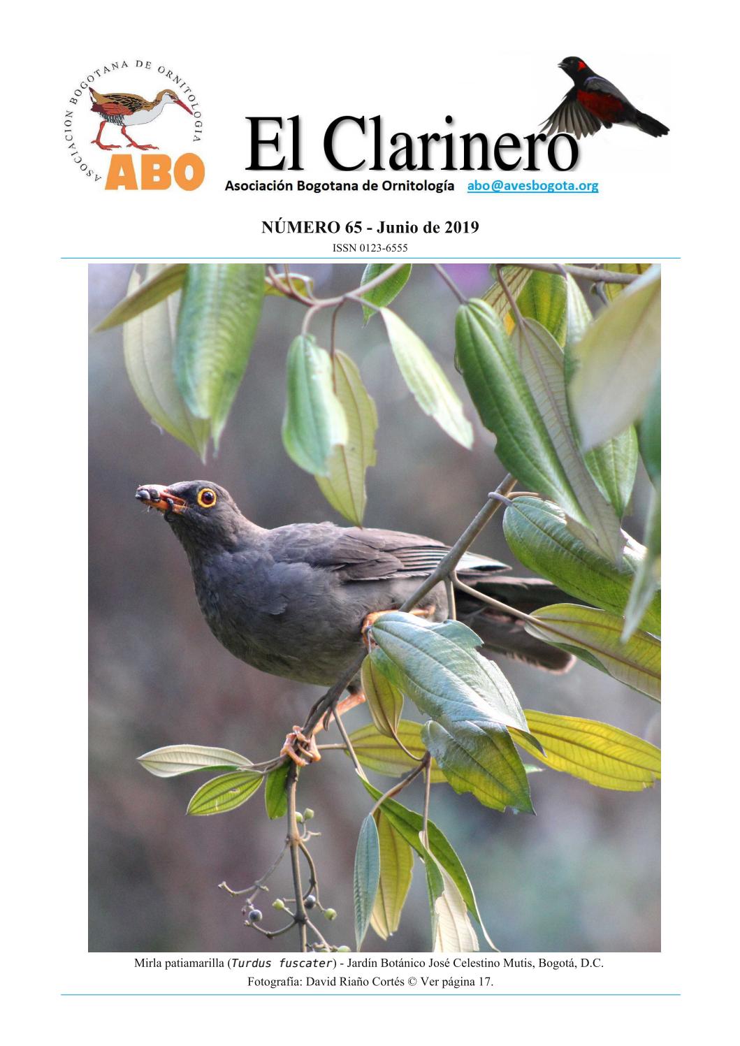 Revista el Clarinero No 65 by ABO - Issuu