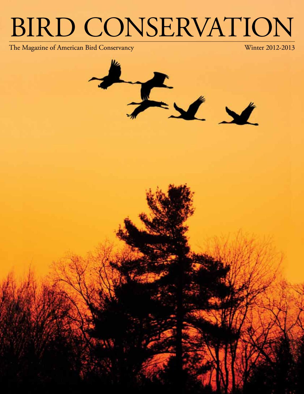 Bird Conservation, Winter 2012 by abcbirds - Issuu