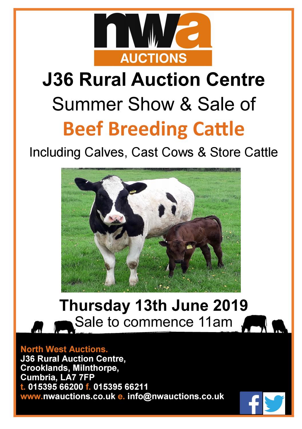 J36 Store Cattle, Thursday 13th June 2019 by North West Auctions - Issuu
