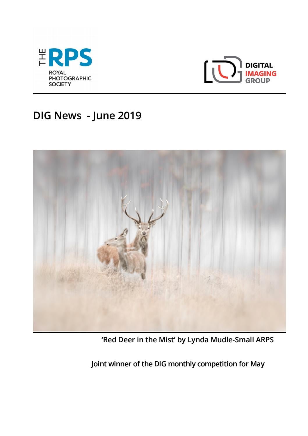 Royal Photographic Society Digital Imaging Group News June 2019 by ...