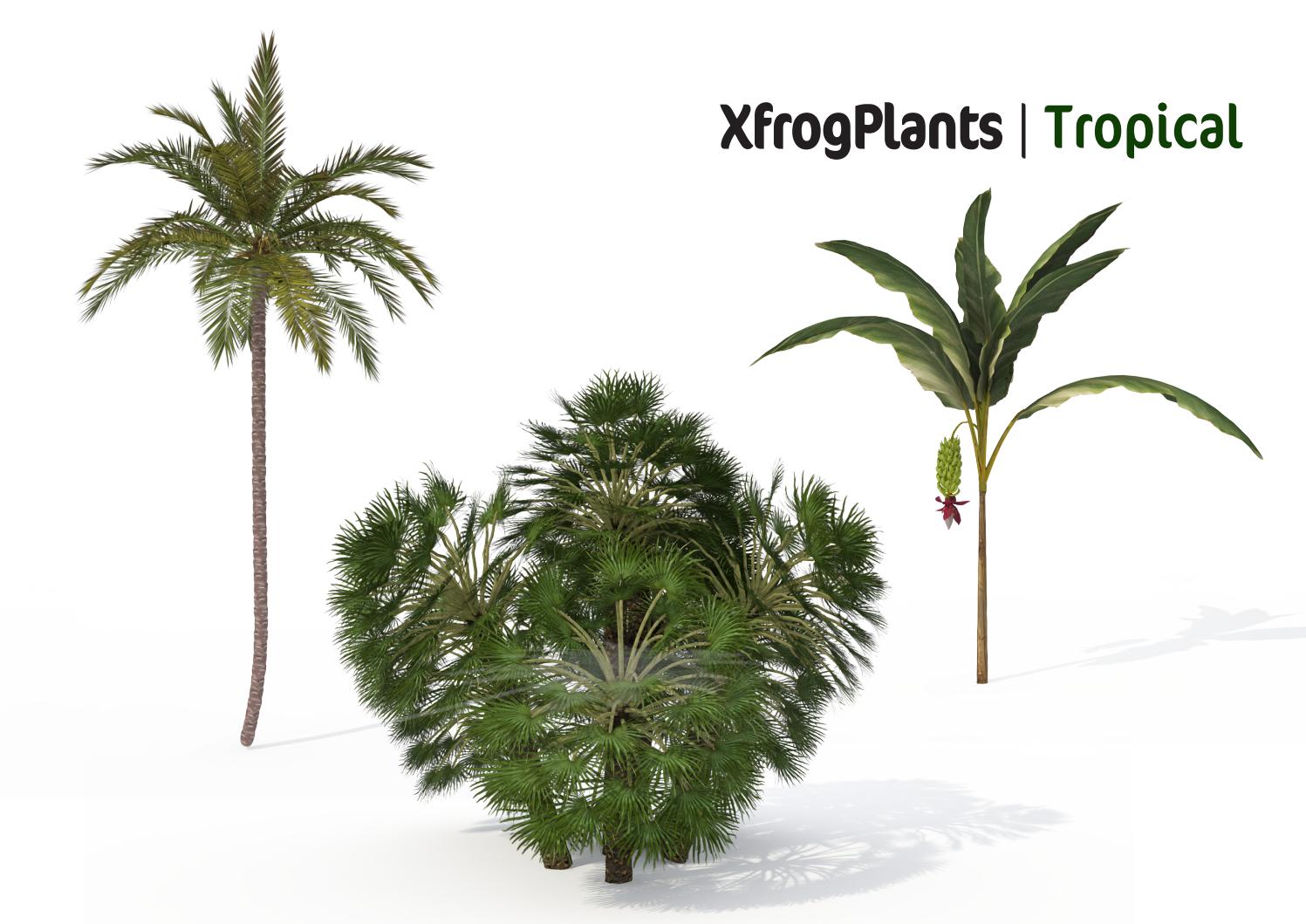 Tropical xfrogplants es by XFROG - Issuu