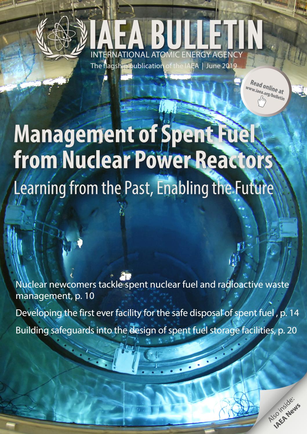 Management of Spent Fuel from Nuclear Power Reactors, English Edition ...
