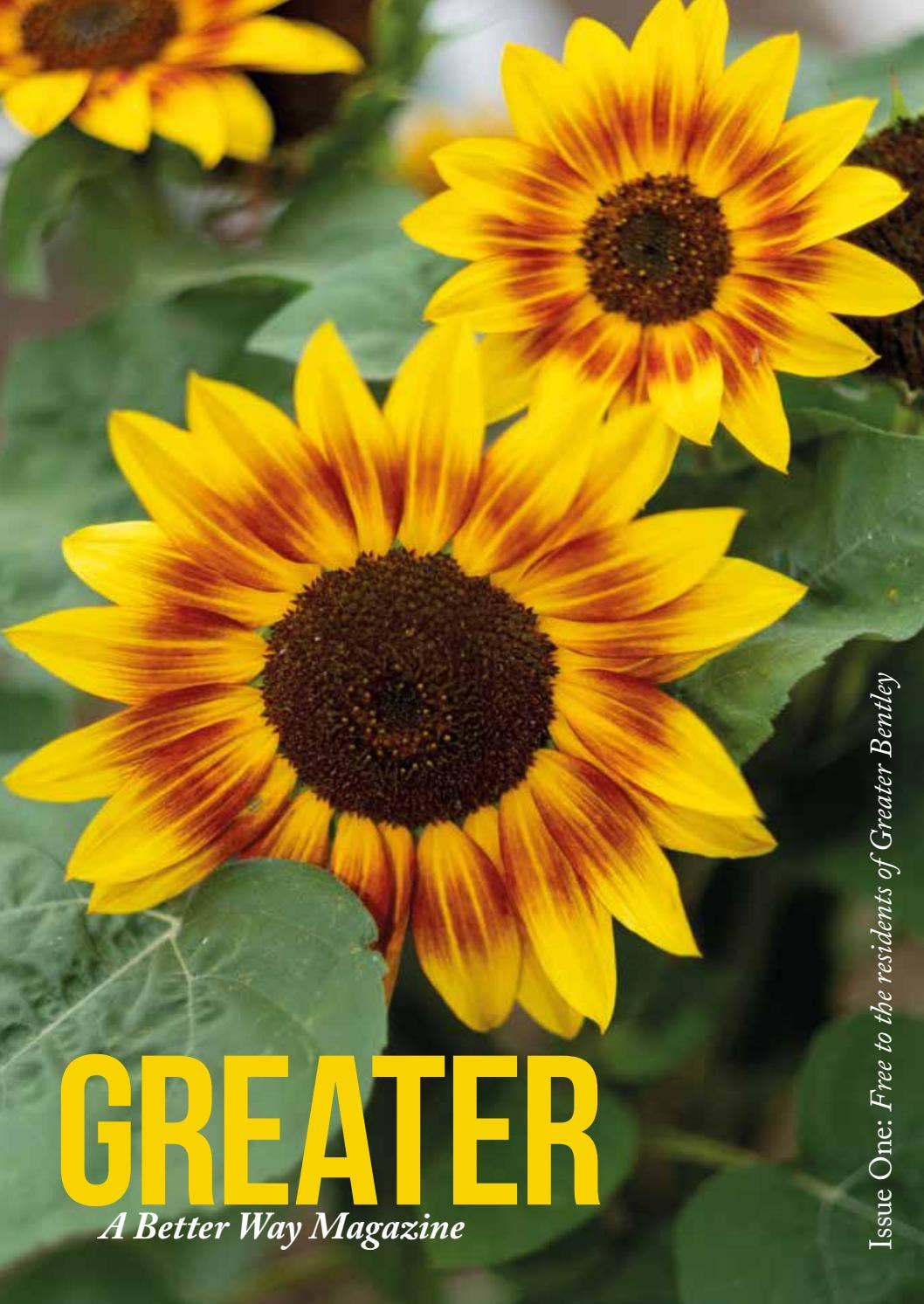 Greater Magazine by Warren Draper - Issuu