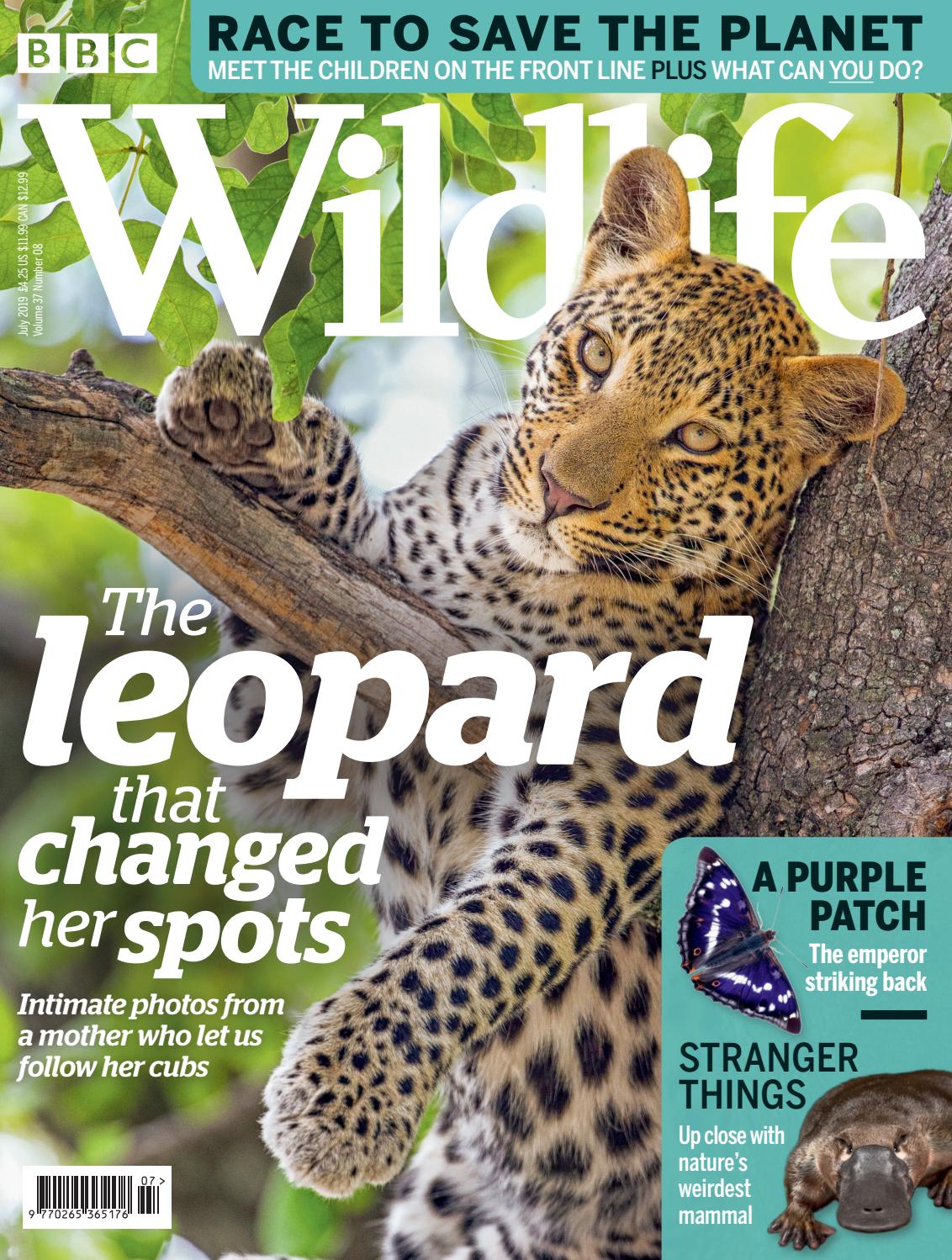 BBC Wildlife June 2019 by Immediate Media Co magazines - Issuu