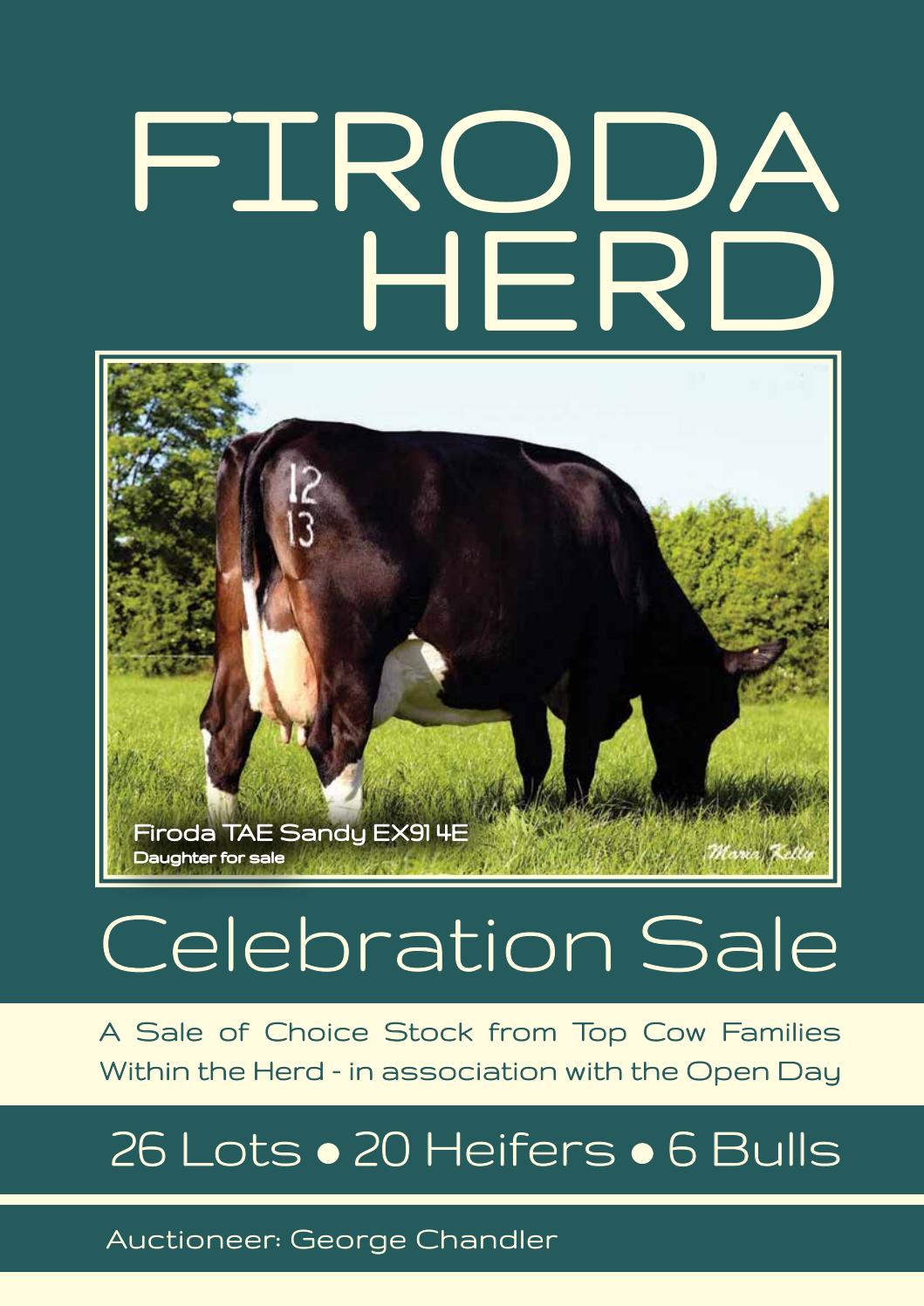 Firoda Herd by IHFA - Issuu