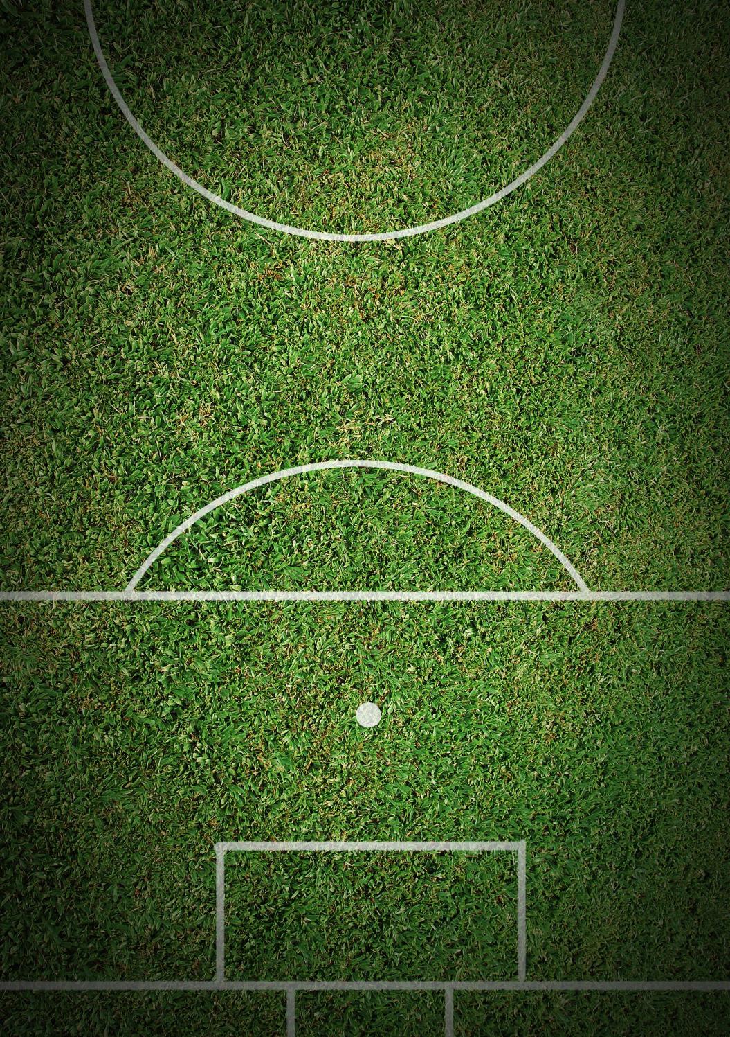 Guia dos Relvados Naturais 2019-20 by Liga Portugal - Issuu