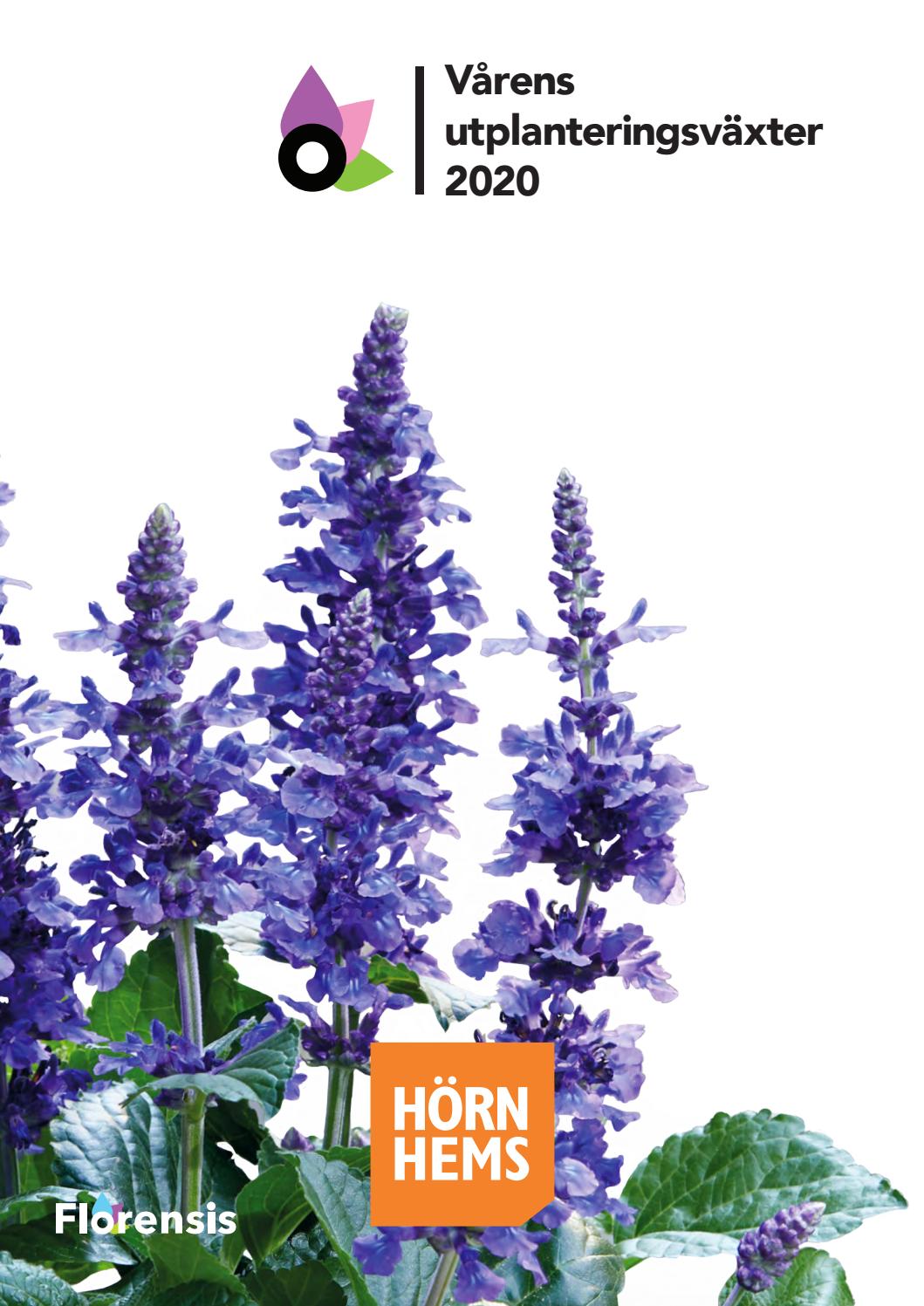 Florensis Annueller 2020 by Owe Dahlqvist - Issuu