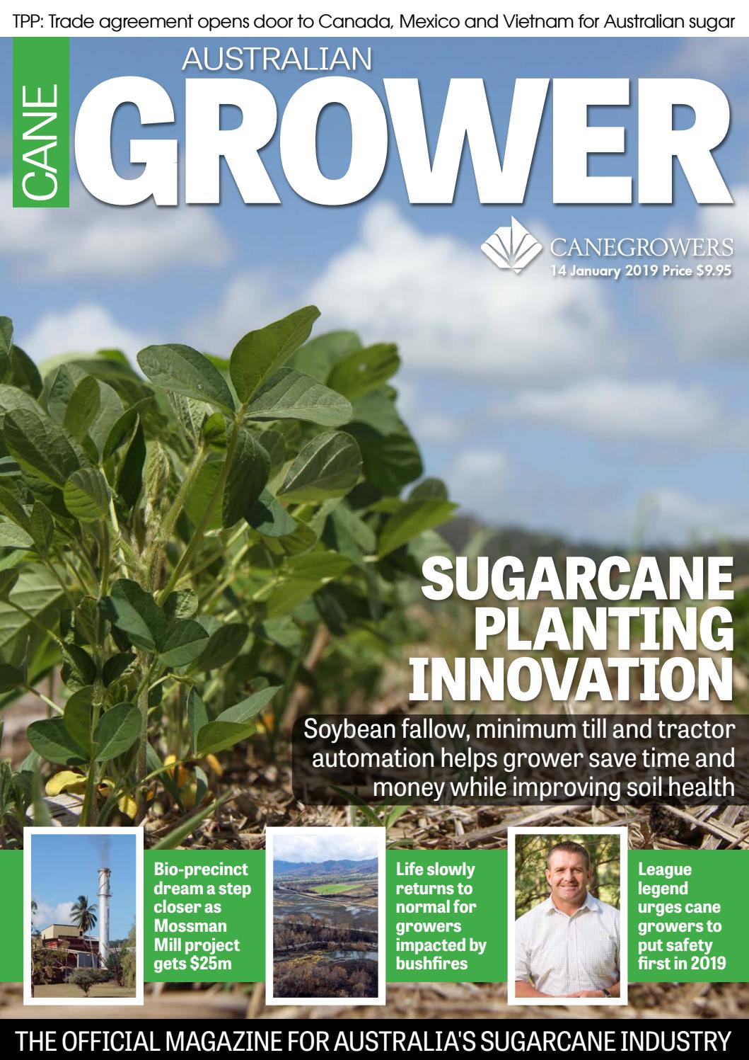 Australian Canegrower 14 January 2019 by CANEGROWERS - Issuu