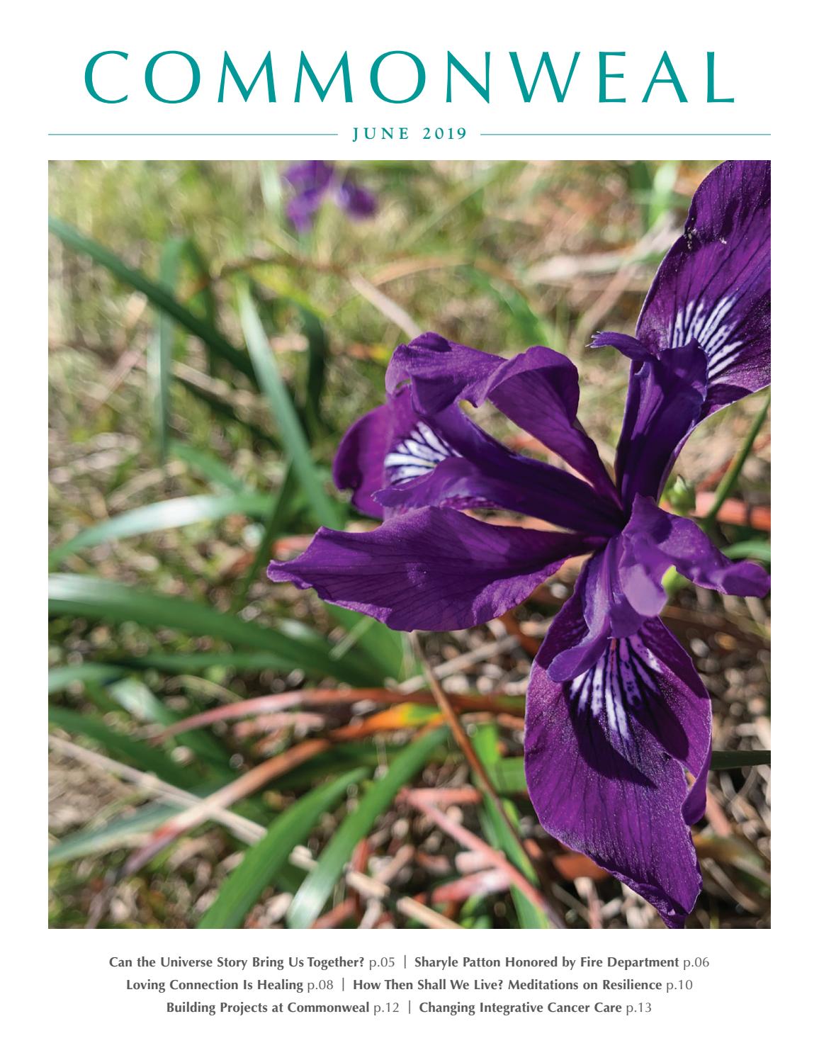Commonweal News - Summer 2019 by Commonweal - Issuu