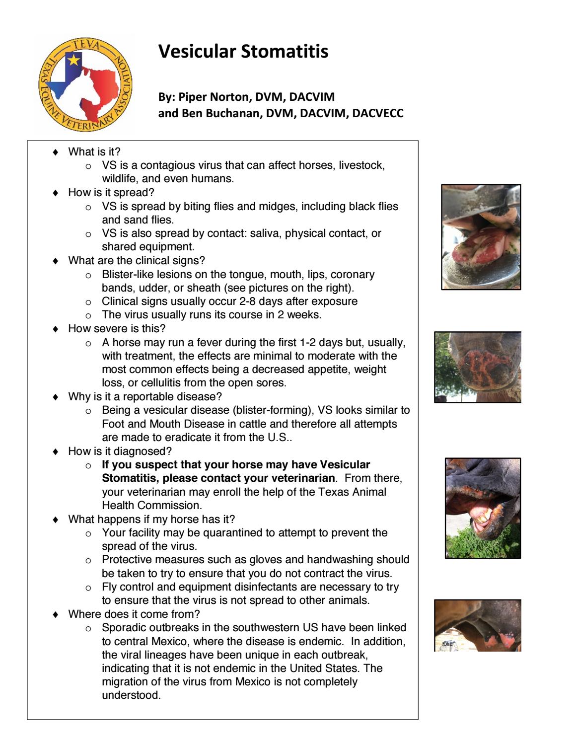 TEVA_Vesicular Stomatitis by kelsey.steinkraus - Issuu