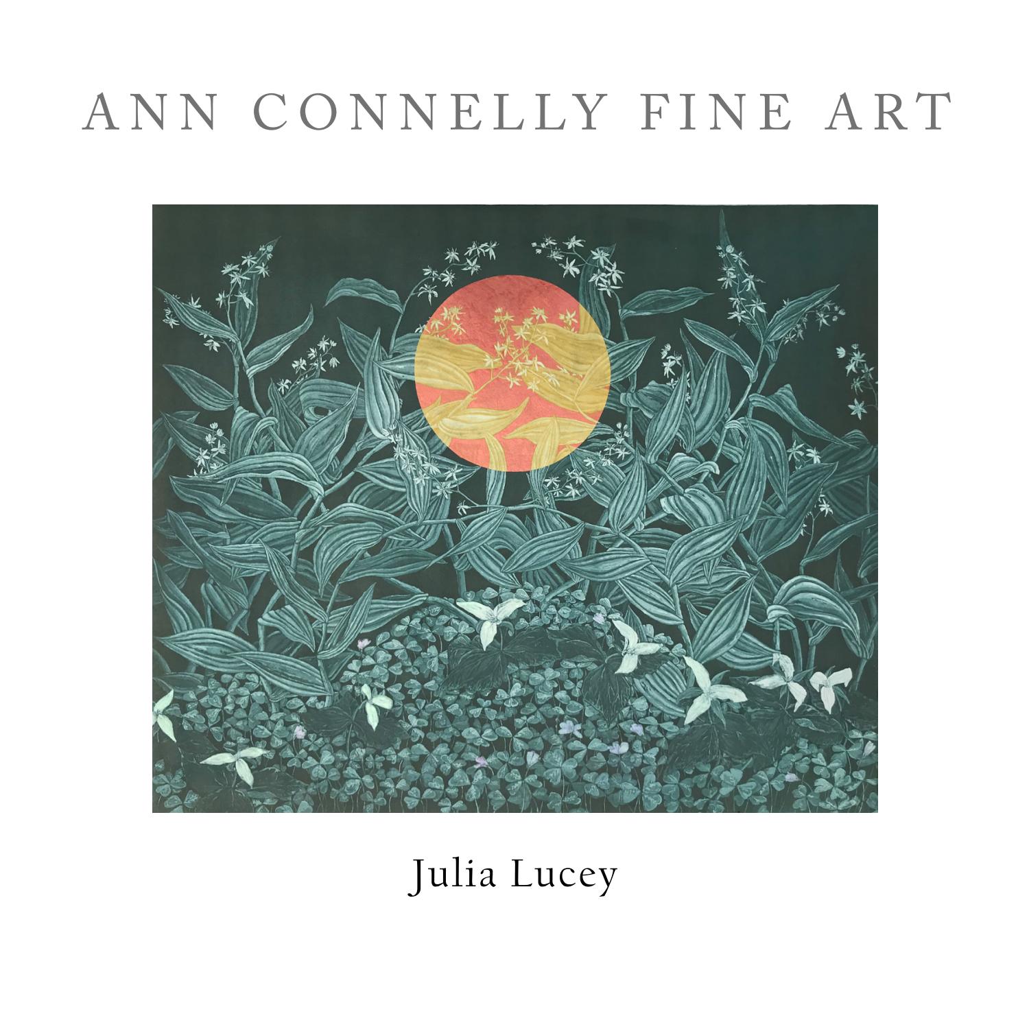 Julia Lucey by Ann Connelly - Issuu