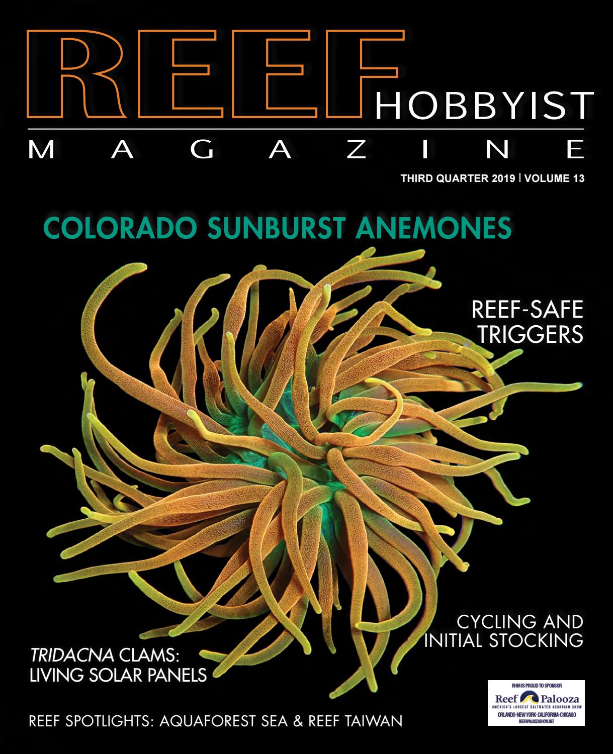 Q3 2019 by Reef Hobbyist Magazine - Issuu