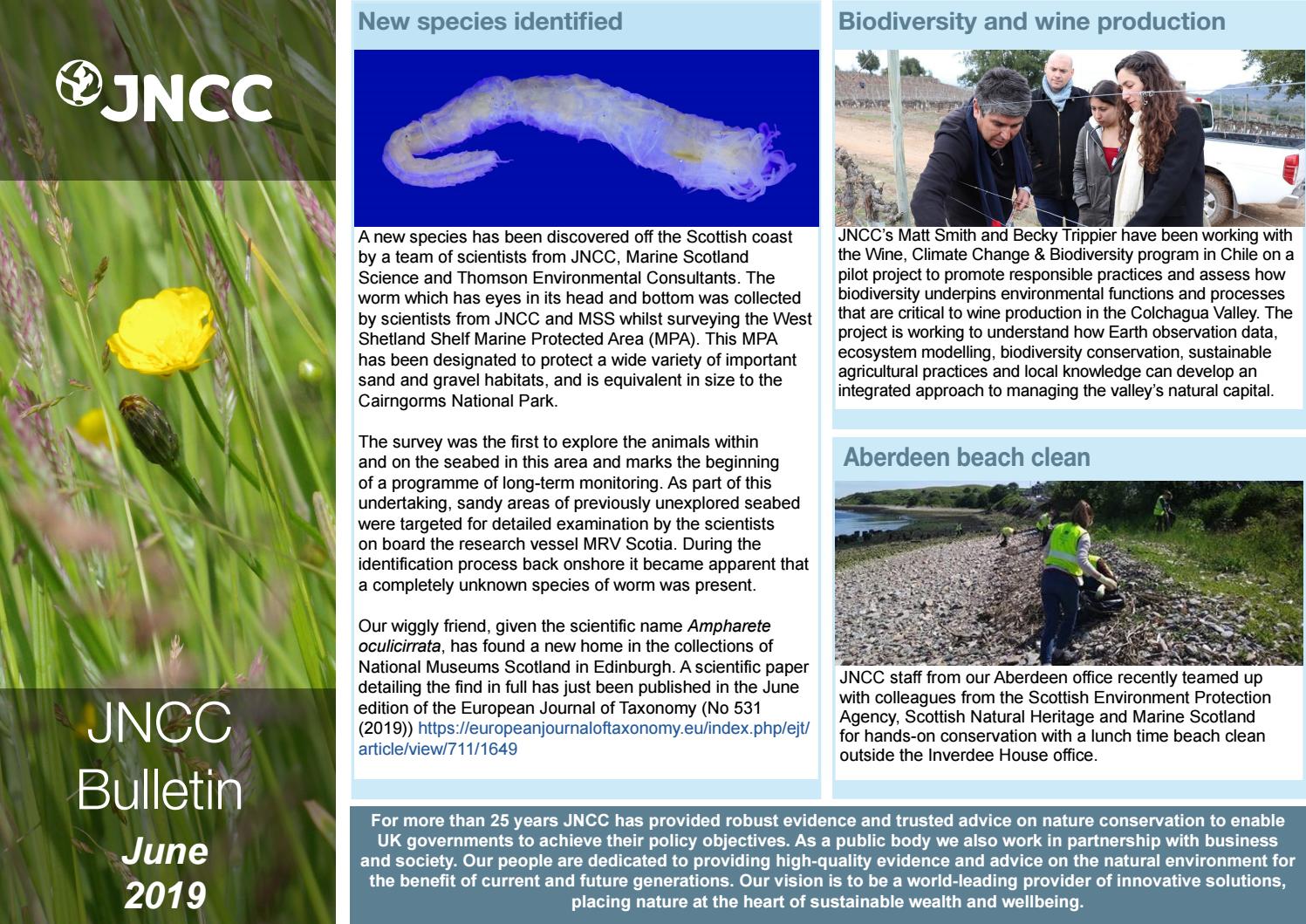 JNCC Bulletin June 2019 by jncc_uk - Issuu