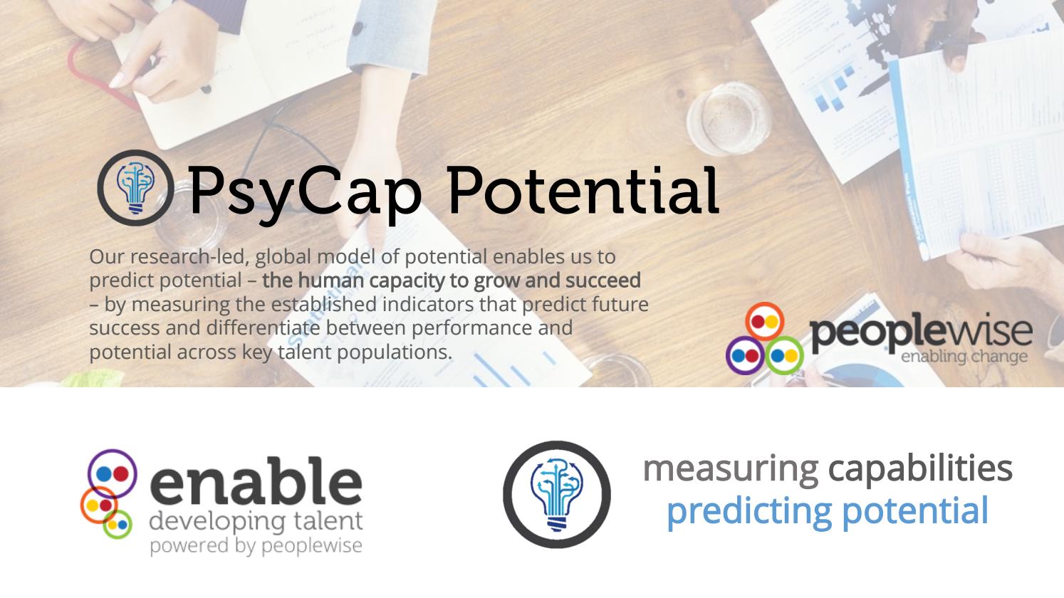 Peoplewise - PsyCap Potential Brochure by PeopleWise - Issuu