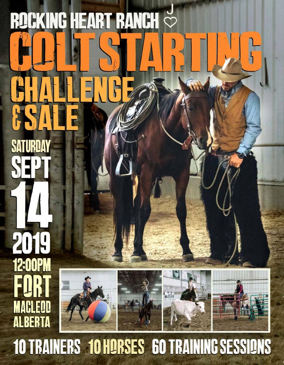 2019 Rocking Heart Ranch Colt Starting Challenge & Sale by Coyote ...