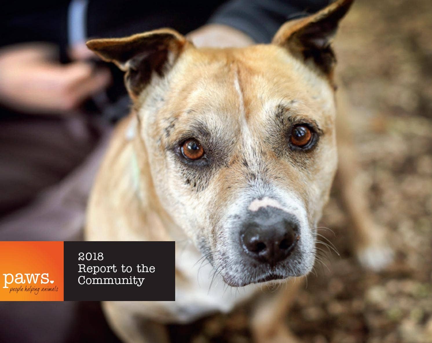 PAWS 2018 Annual Report by PAWS - Issuu