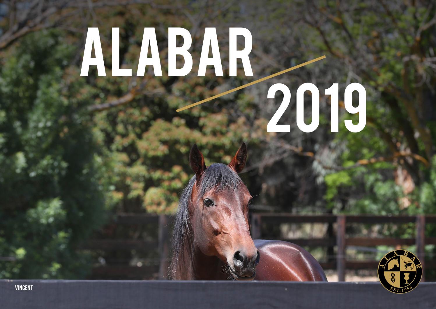 2019 Alabar Brochure by Alabar Bloodstock - Issuu