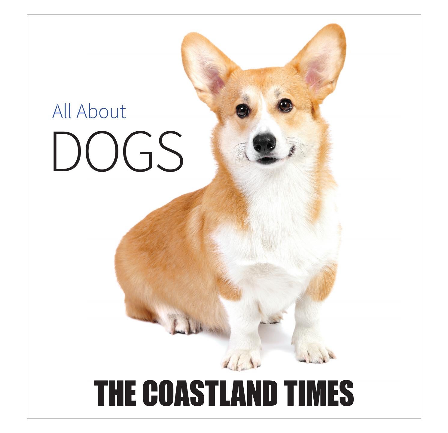 All About Dogs 2019 – The Coastland Times by The Coastland Times - Issuu