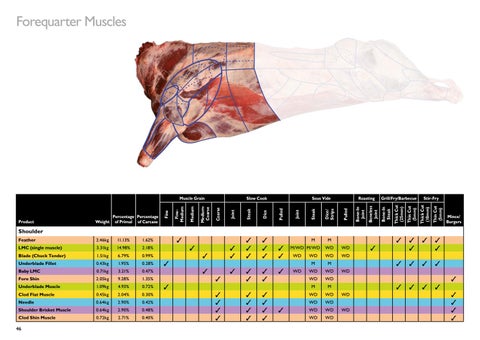 Beef Muscle Guide by ahdb1 - Issuu