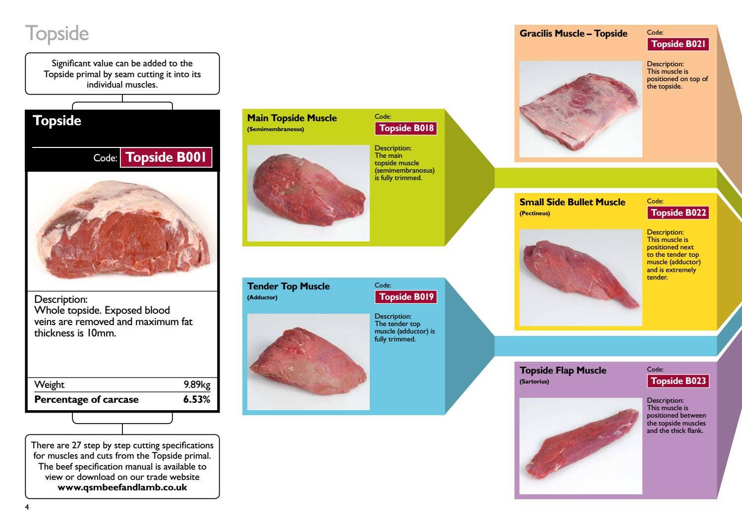 Beef Muscle Guide by ahdb1 - Issuu