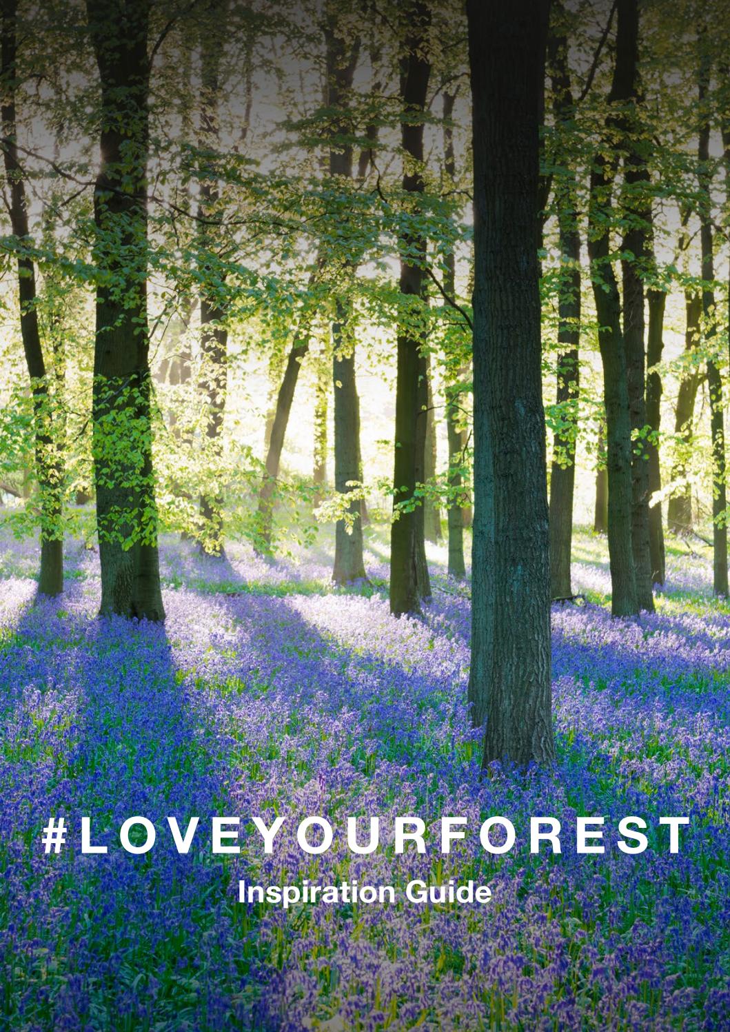 Love Your Forest Campaign Inspiration Guide I Hubbub by HUBBUB - Issuu