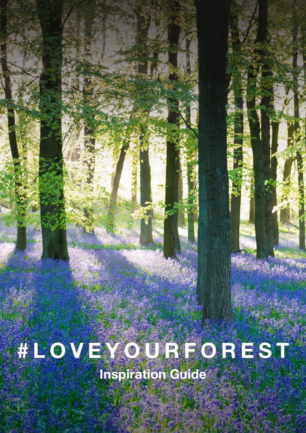 Love Your Forest Campaign Inspiration Guide I Hubbub by Hubbub - Issuu