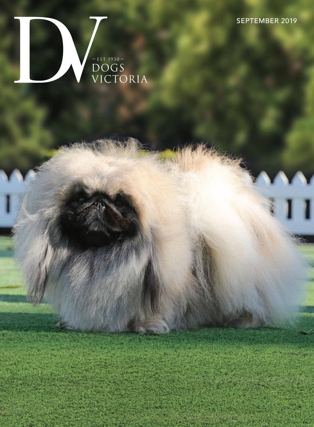Dogs Victoria Magazine - September 2019 by Dogs Victoria - Issuu