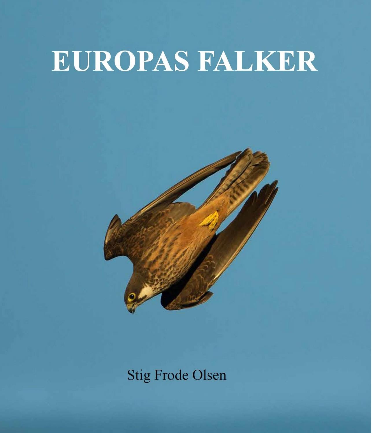 Europas Falker by Natur og Fritid - Issuu