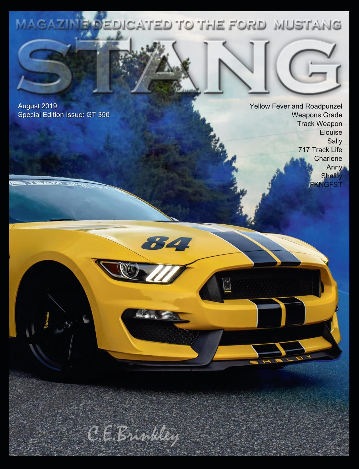 STANG Magazine Special Edition Issue: GT 350 by STANG Magazine - Issuu