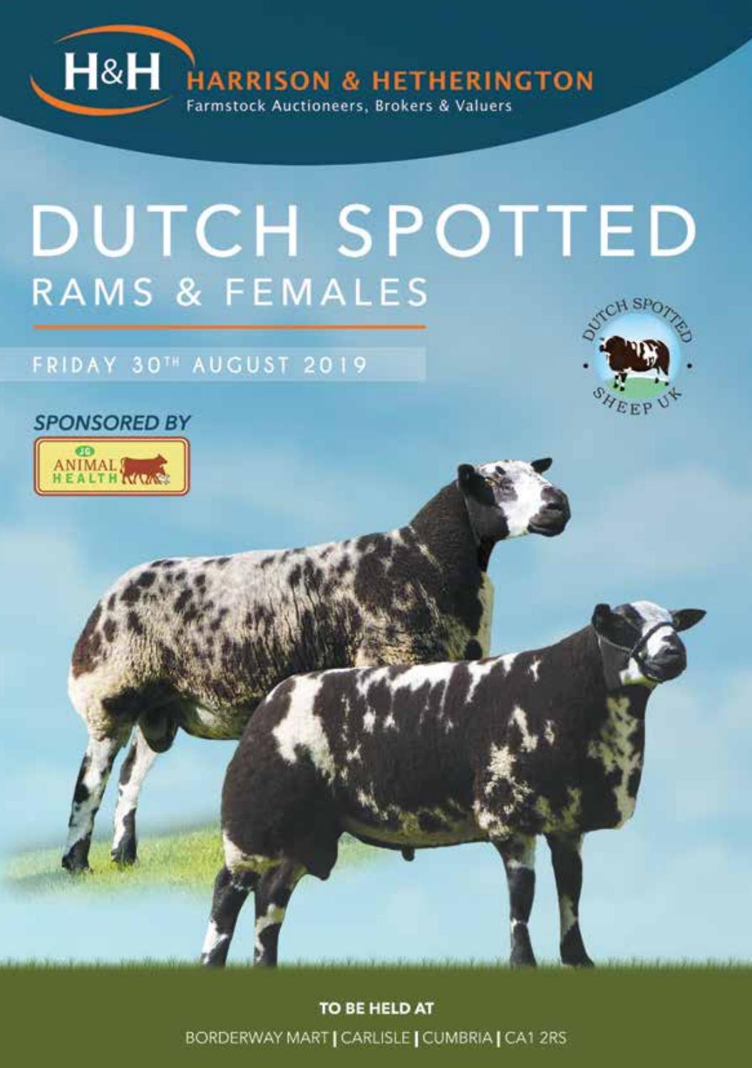 Dutch Spotted 3008019 by Harrison & Hetherington - Issuu